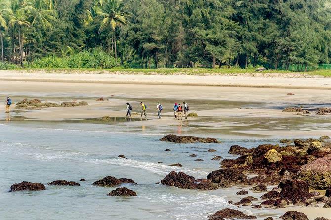 Explore Karnataka like never before with this 2-day beach trek