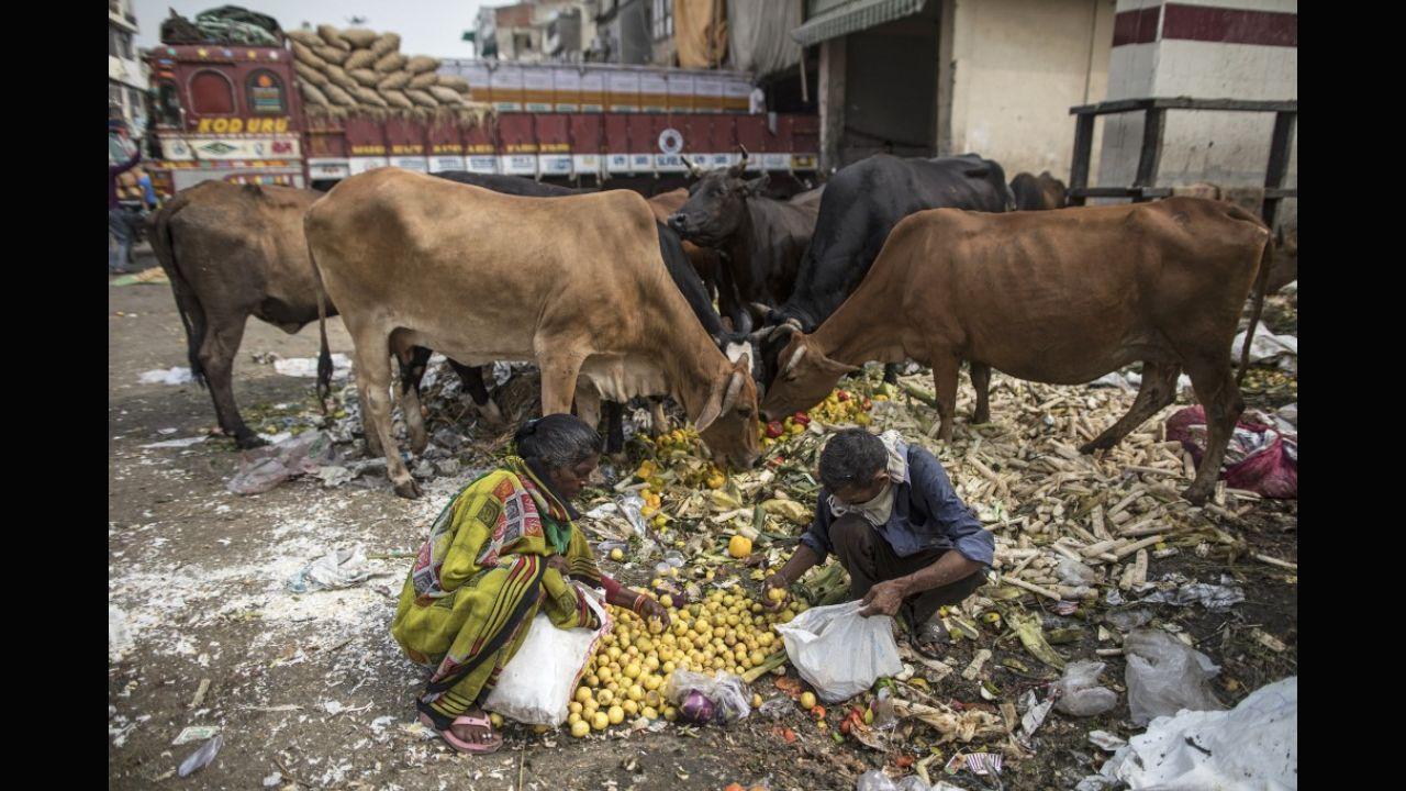 World Food Day 2022: Why India in general, and Mumbai in particular ...