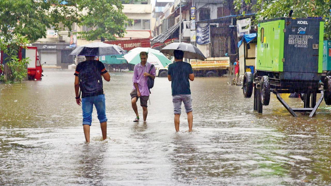 Mumbai: Dengue, malaria cases on the rise Mumbai: Dengue, malaria cases on the rise
