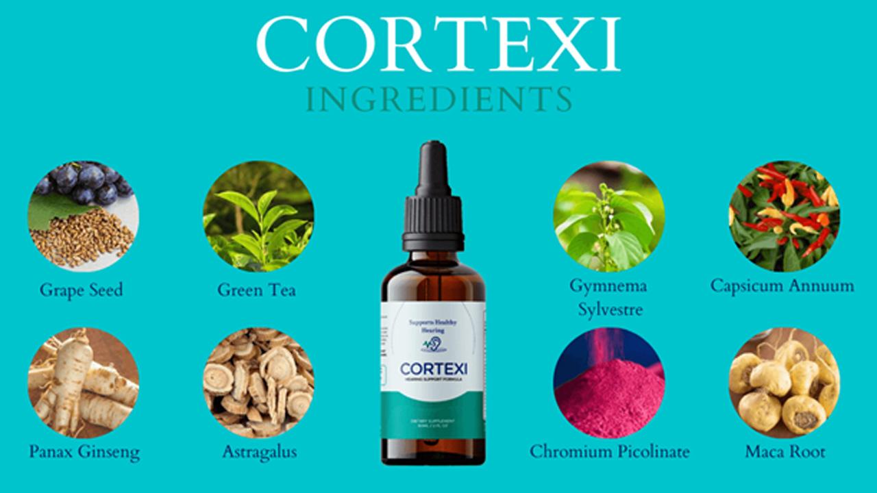 Cortexi SCAM Fraudulent Investigation Report Released 2023