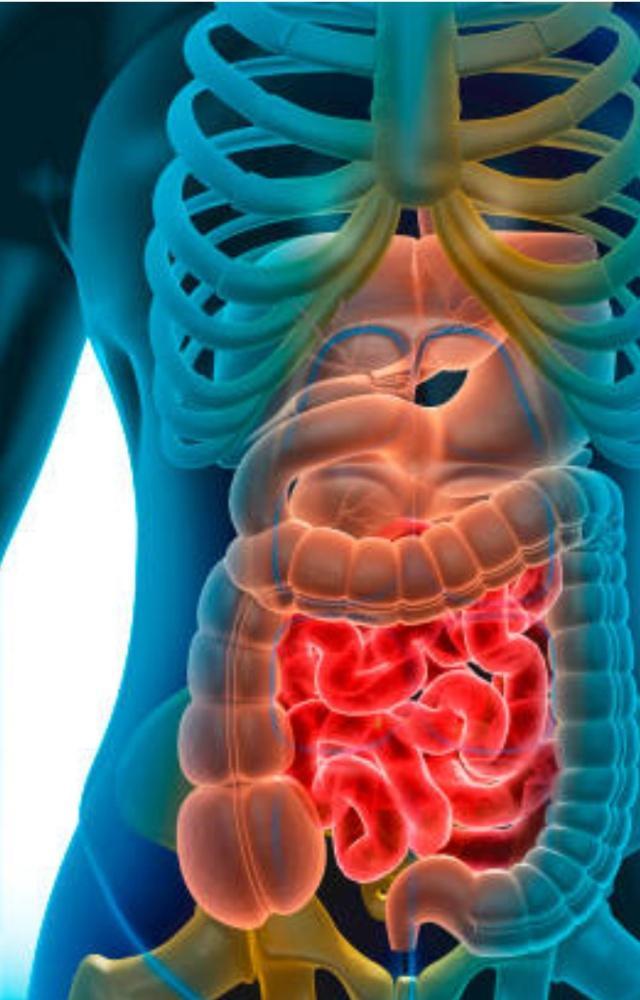 5 common symptoms of appendix cancer