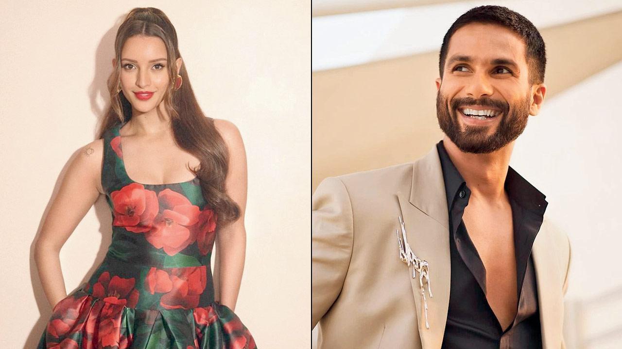 Fenil and Bollywood: Shahid Kapoor, Triptii Dimri begn prep for Vishal ... Fenil and Bollywood: Shahid Kapoor, Triptii Dimri begn prep for Vishal ...