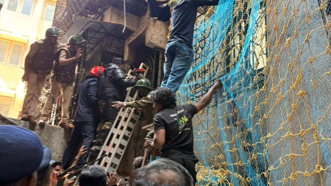 WATCH | Bhayandar leopard scare: Animal enters residential building ...