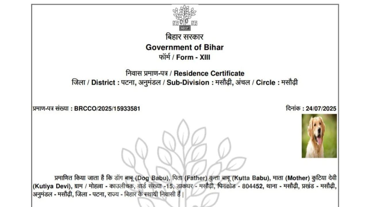 Bihar: Dog issued residence certificate, opposition leaders slams Bihar ...