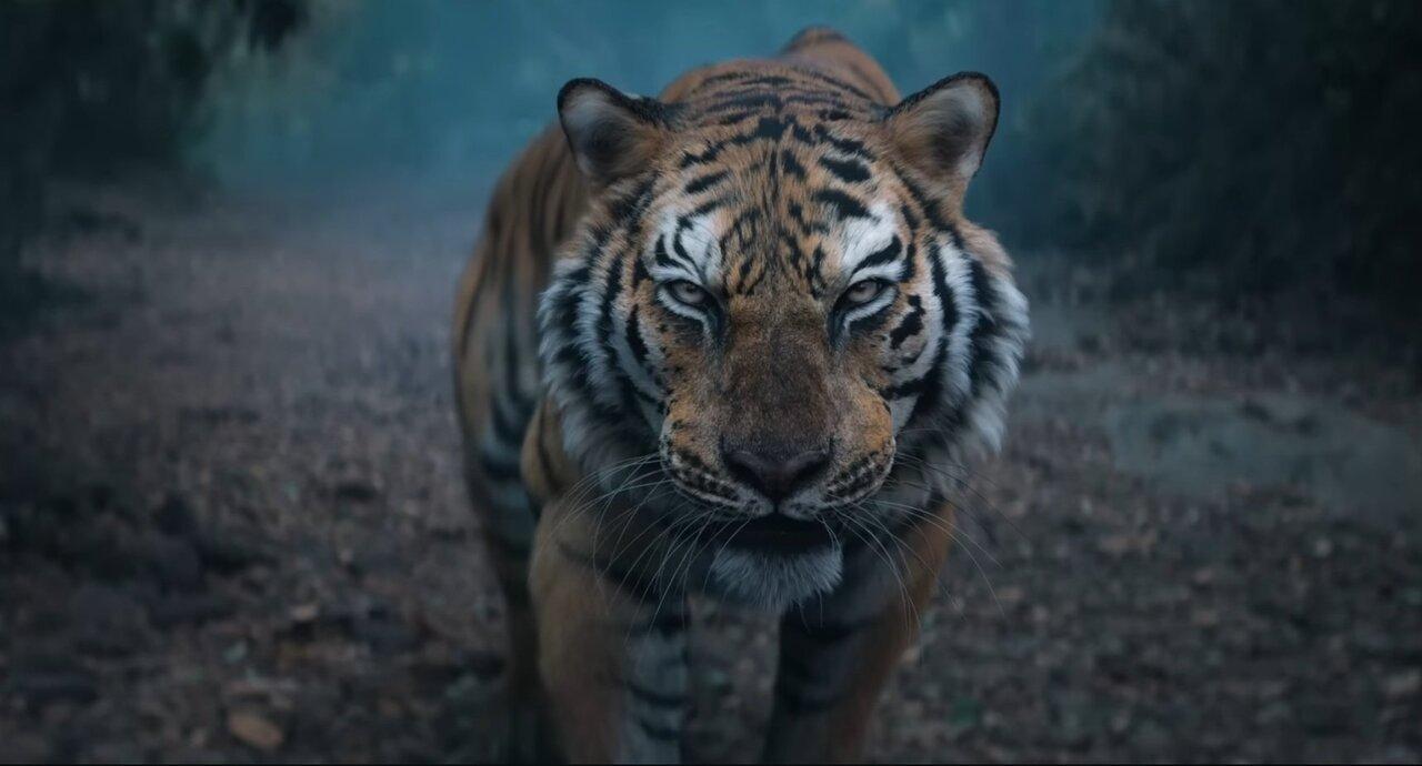 Kantara Chapter 1: 9 reasons that make it a must watch