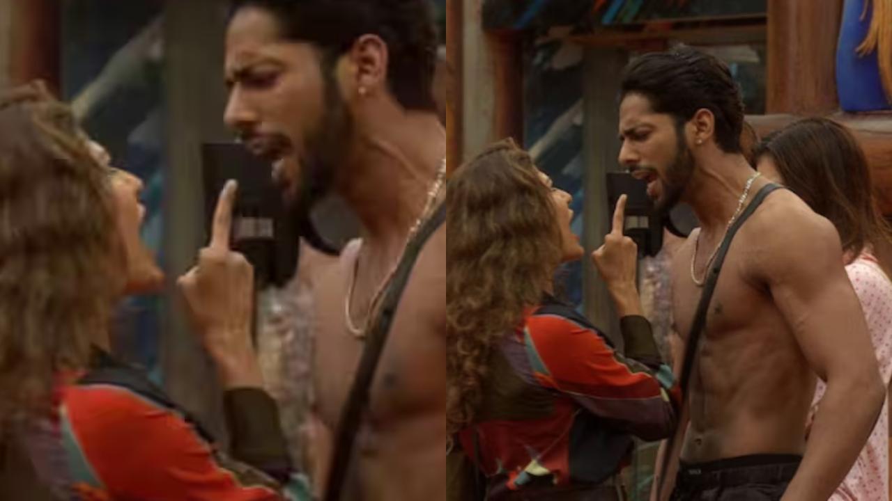 Bigg Boss 19: Nehal Chudasama calls Baseer Ali ’chor’