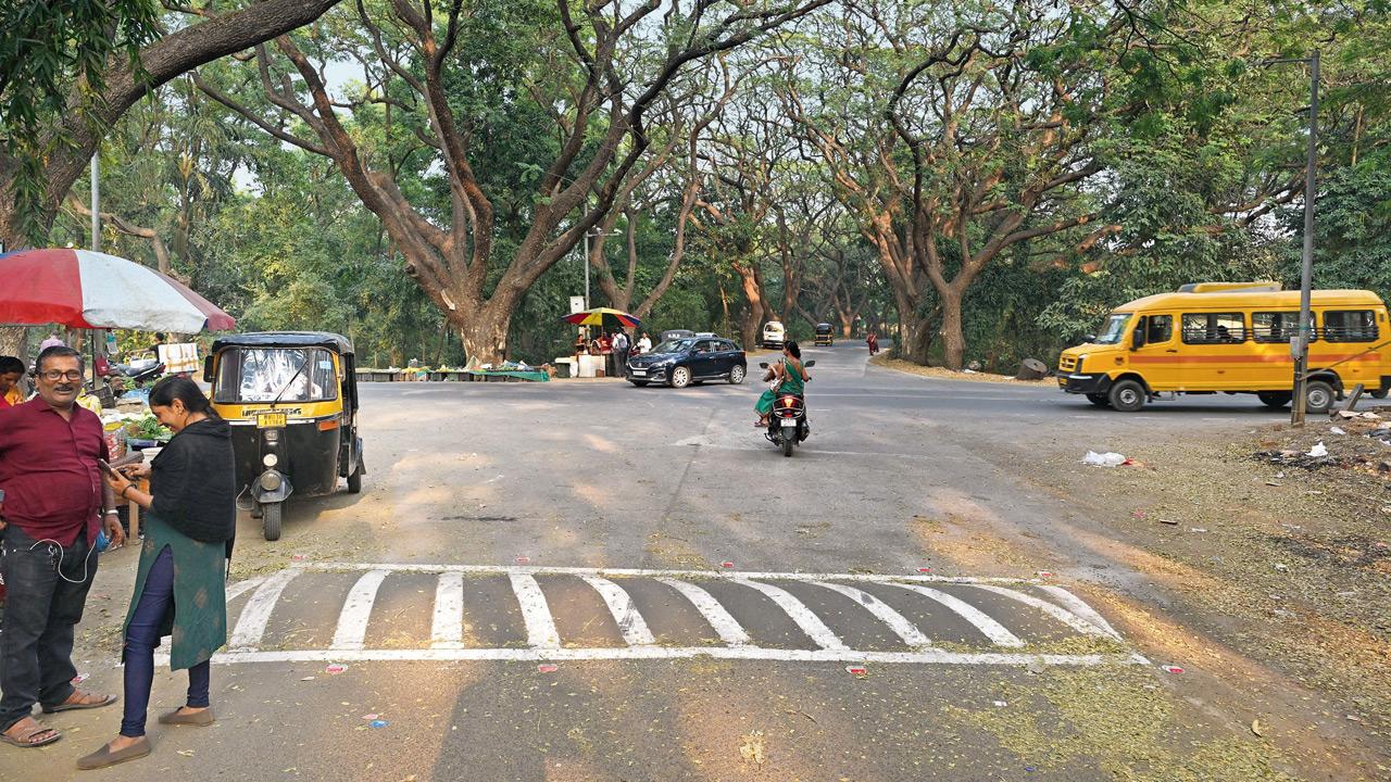 Mid-Day Impact: PWD to paint unmarked speed breakers at Mumbai’s Aarey ...