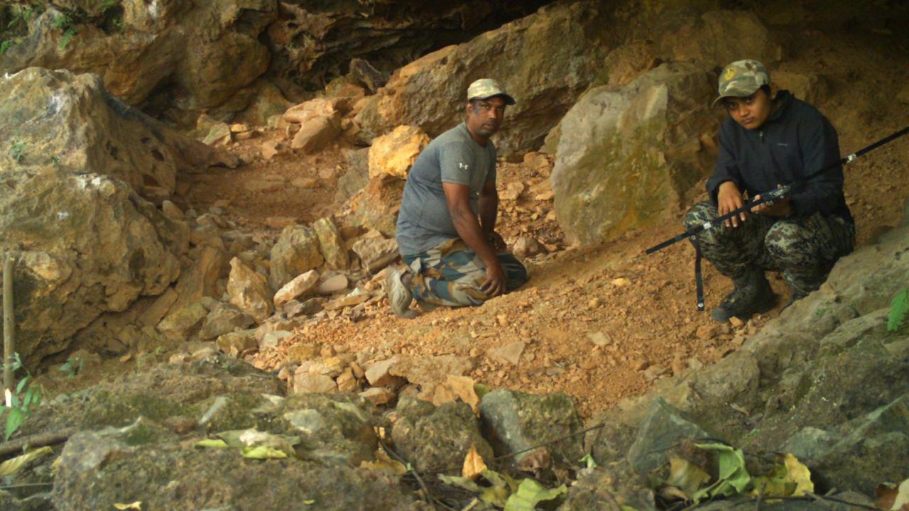 Bhayandar leopard attack: Leopard rescued from Bhayandar society ...