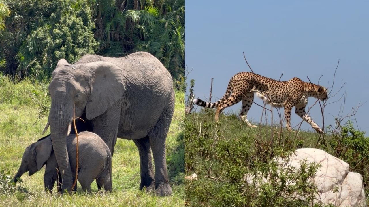 In pics: Shanaya Kapoor’s adventurous New Year getaway to Masai Mara