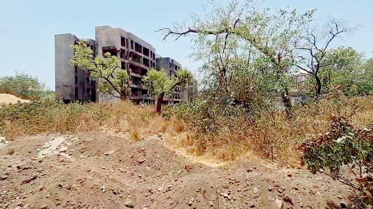 Air India Flight 171 crash: Doctors and students who still carry the ...