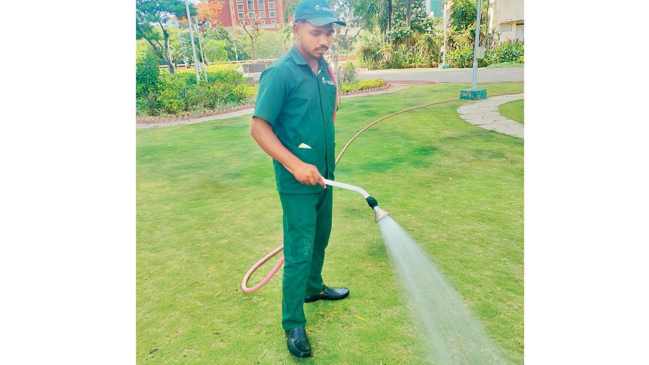 Mumbai water crisis: These housing societies have found a way to avoid ...