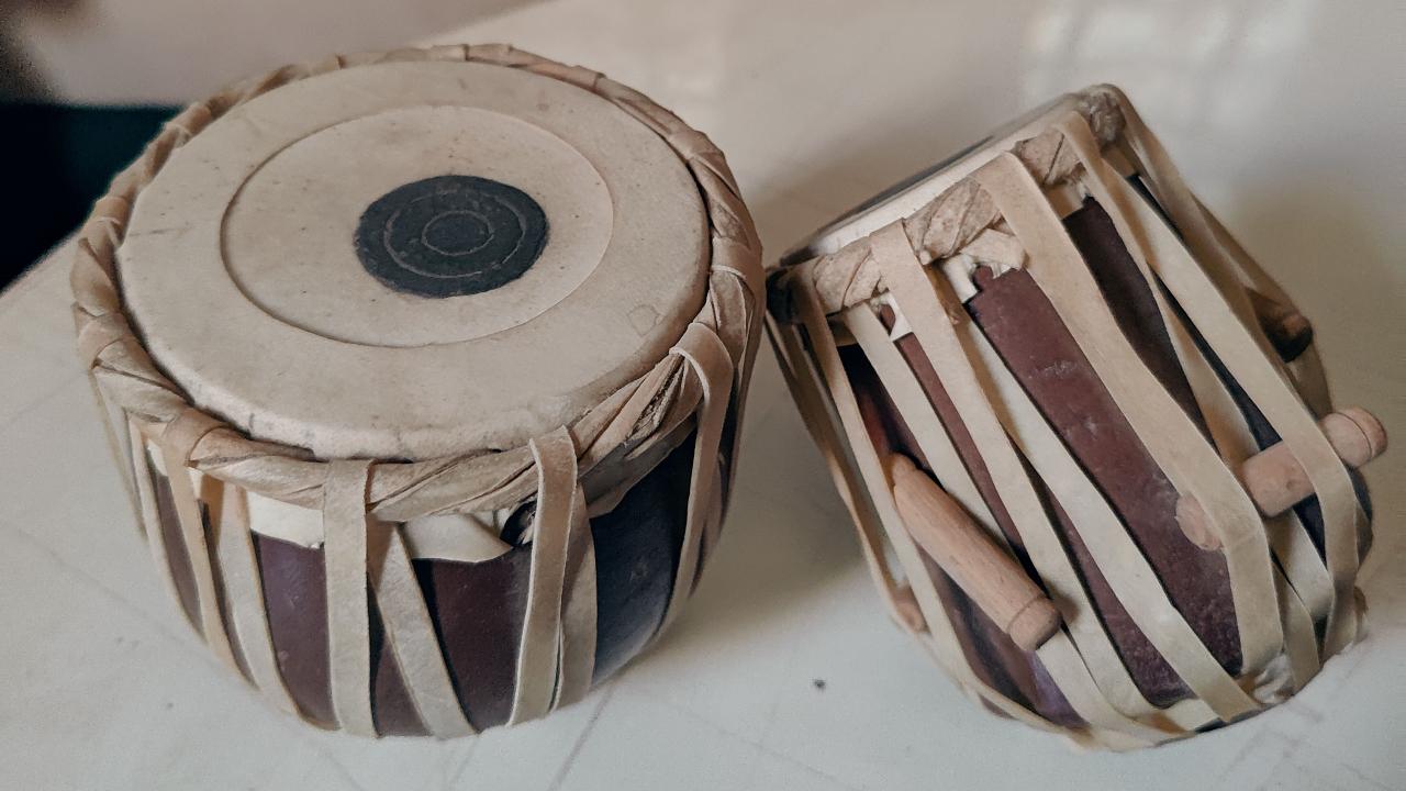 PHOTOS | World Music Day 2026: Discover different forms of music from India