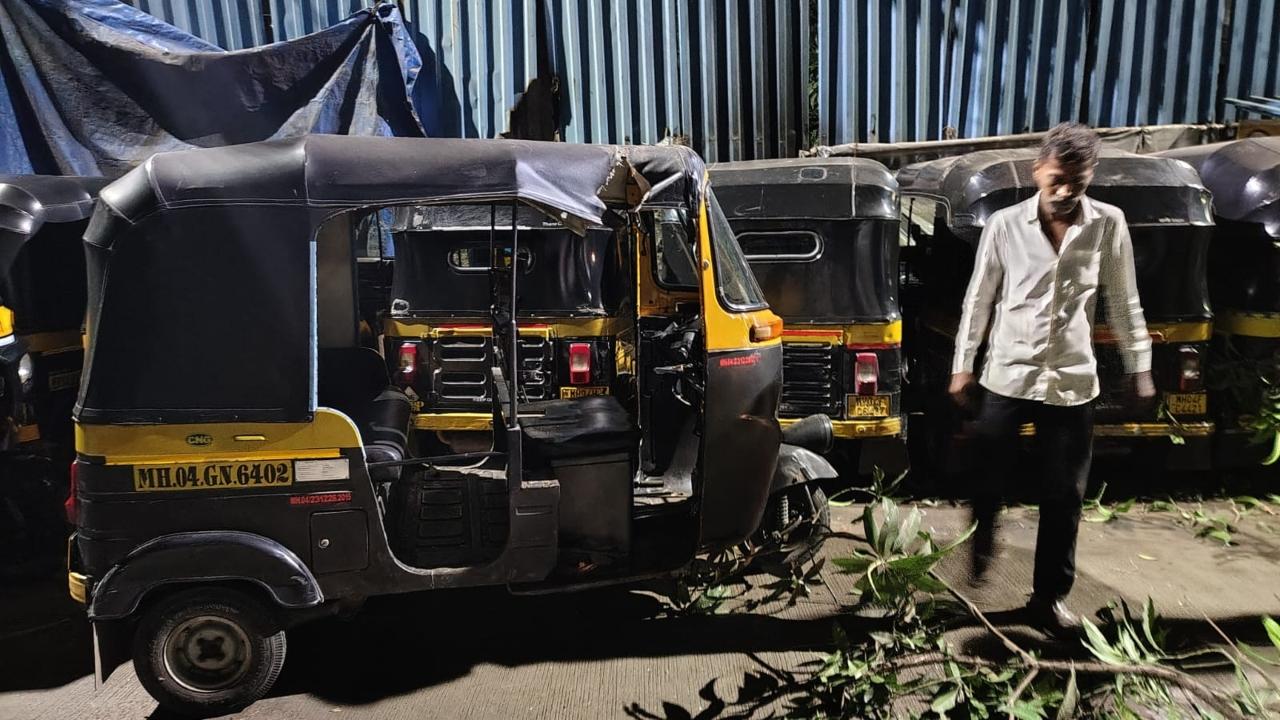 IN PHOTOS: Auto-rickshaws damaged after tree falls in Maharashtra's Thane