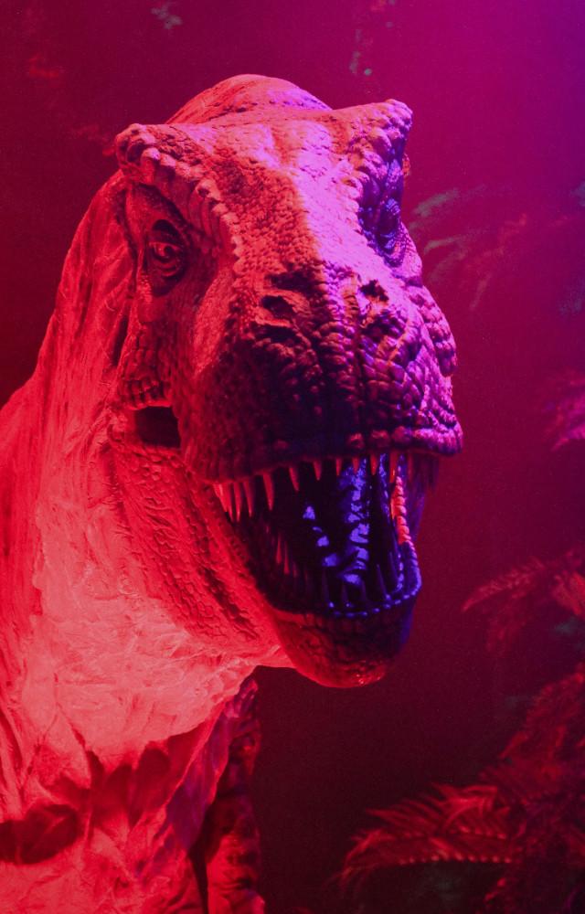 Dinosaur Day 2026: 5 amazing facts about the reptiles