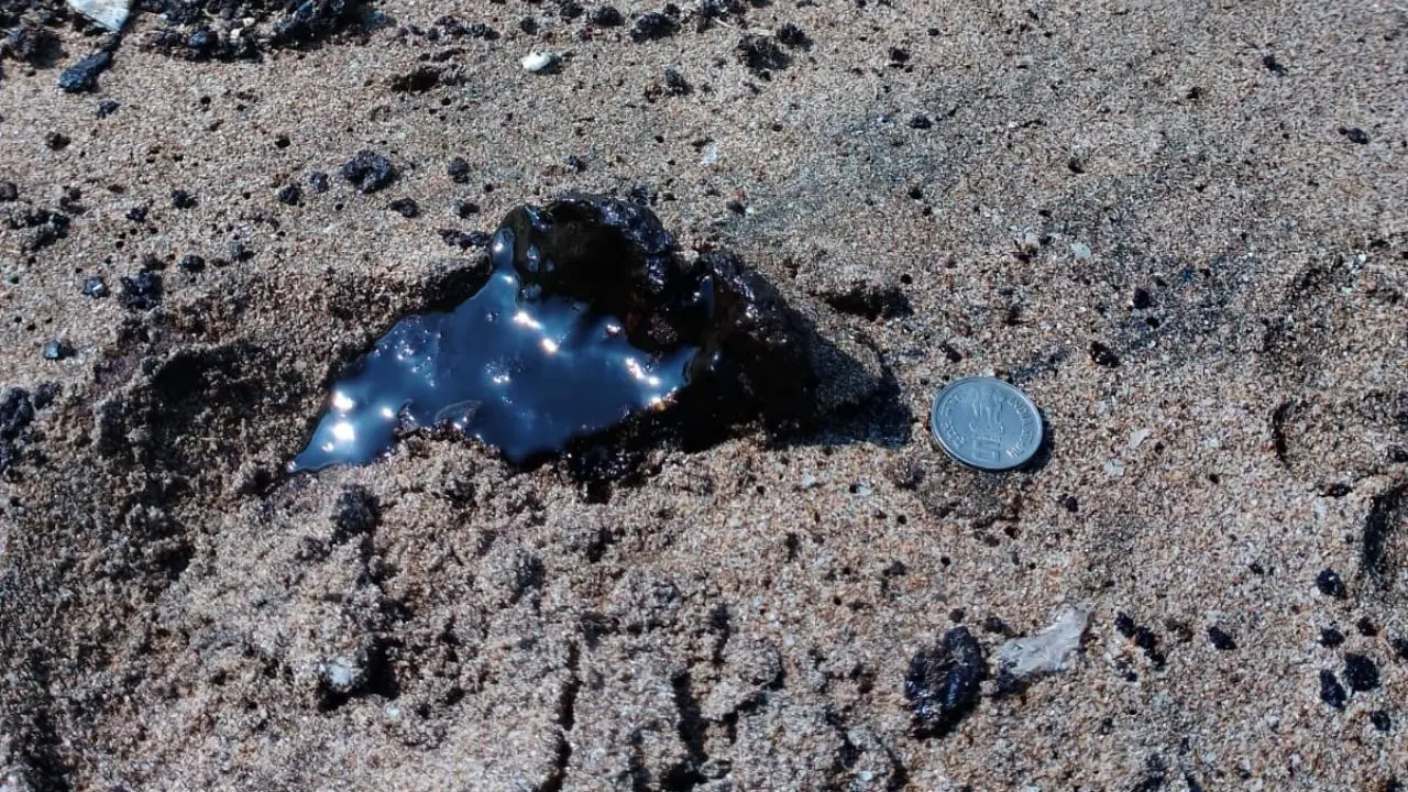 Mumbai's Chowpatty sees tarballs washed ashore, experts explain phenomenon