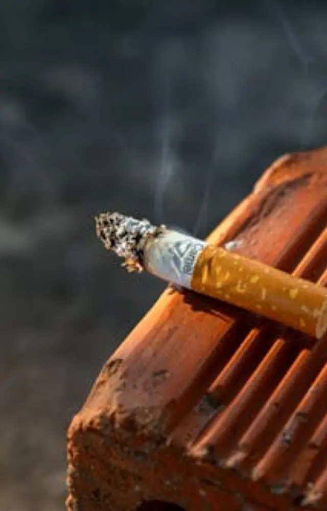 World Anti-Tobacco Day: Check 5 lesser-known facts